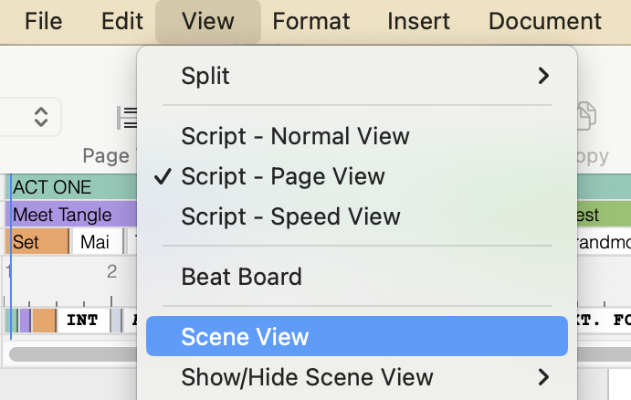 How do I use Scene View? – Final Draft