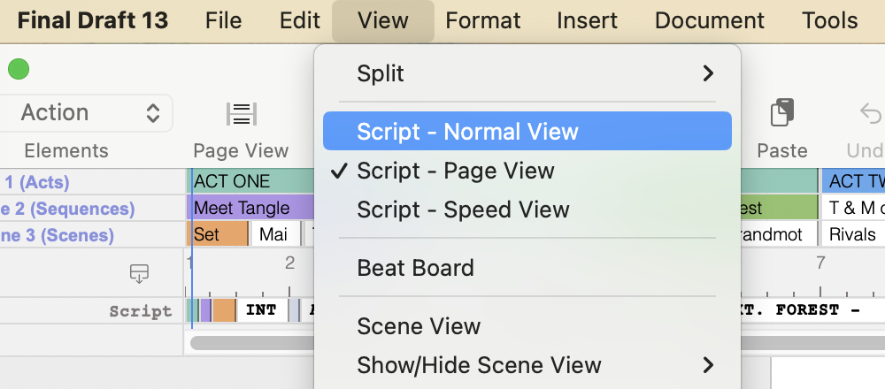 How does the Script panel work (Normal View, Page View, Speed View ...